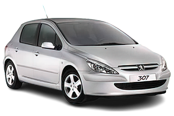 Захист двигуна Peugeot 307 (Пежо 307) Кольчуга. Купити захист картера ...